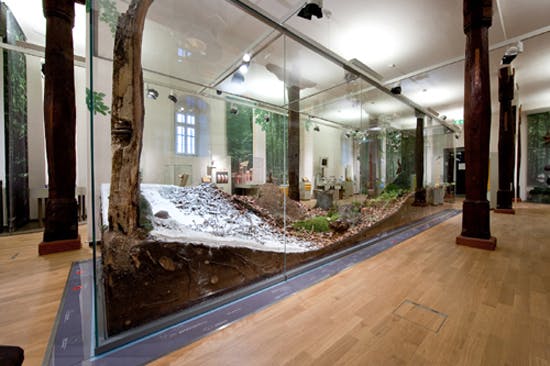 bioversum Kranichstein - Museum biologischer Vielfalt.