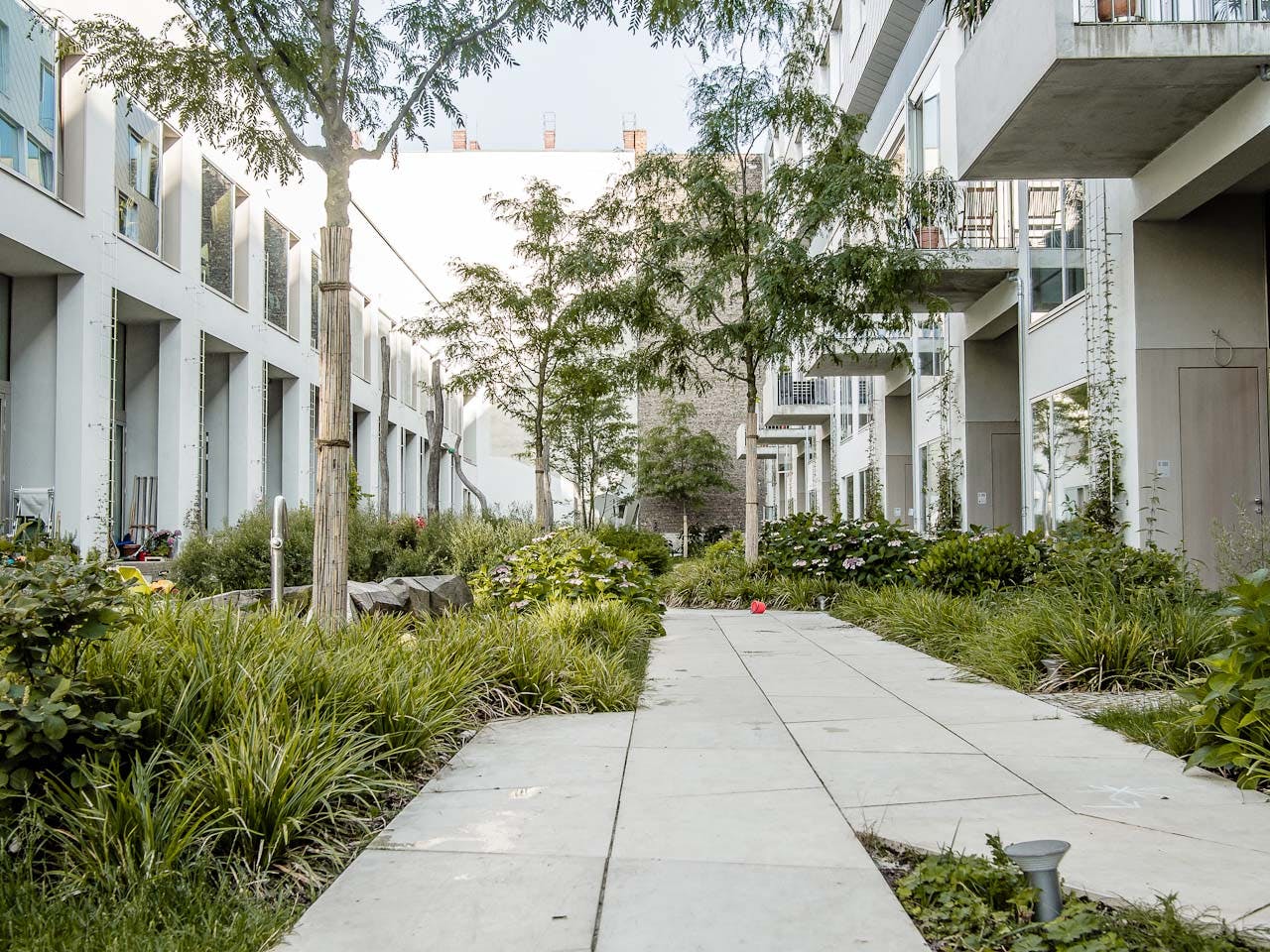 ze05 – Gartenhof BIGYARD Wohnanlage Zelterstraße, Berlin