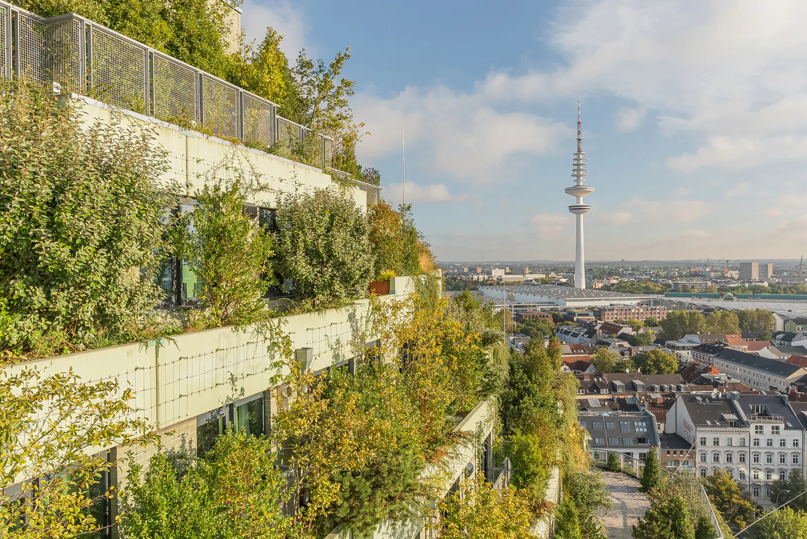 9. bdla-Pflanzplaner:innen-Gespräche - competitionline