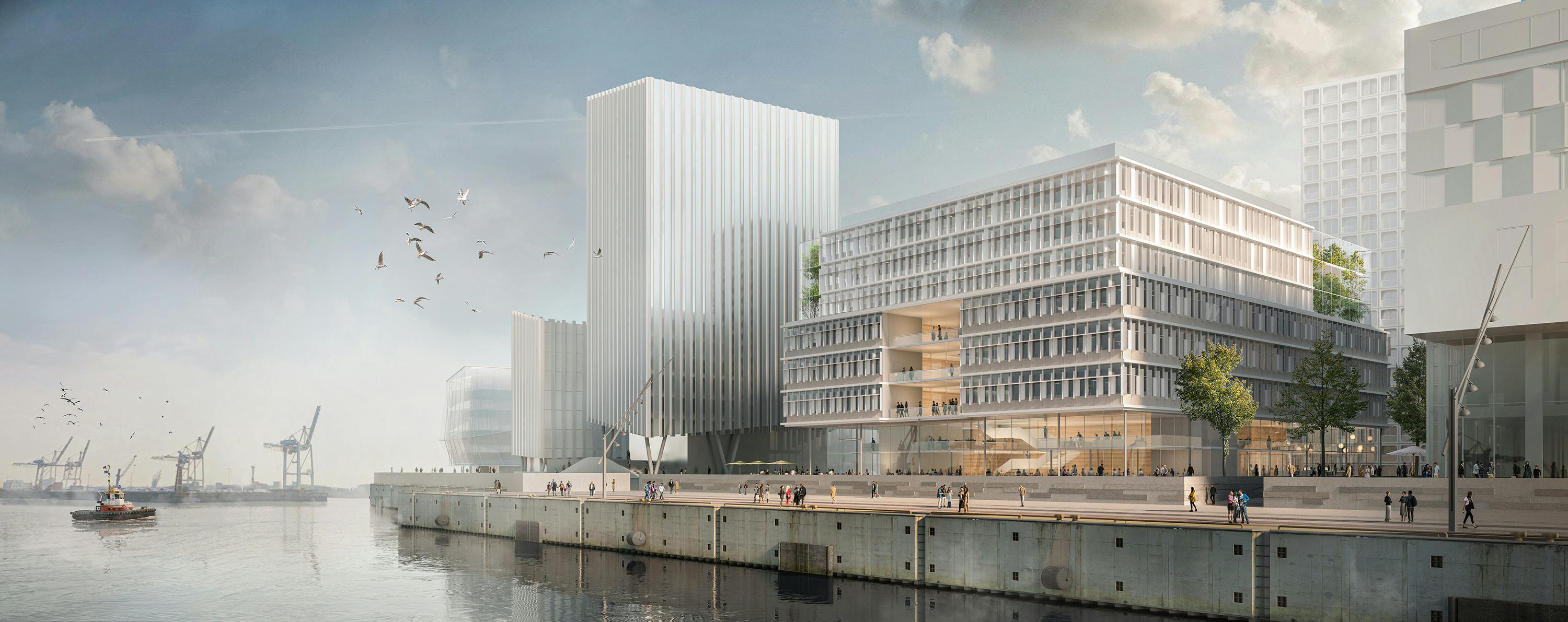 2. Preis : Medical School - Quartier Strandkai HafenCity Baufeld 63 in ...